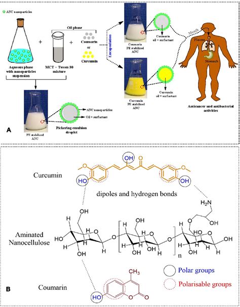 Figure 9 From Surface Modified Nanocellulose For Application In