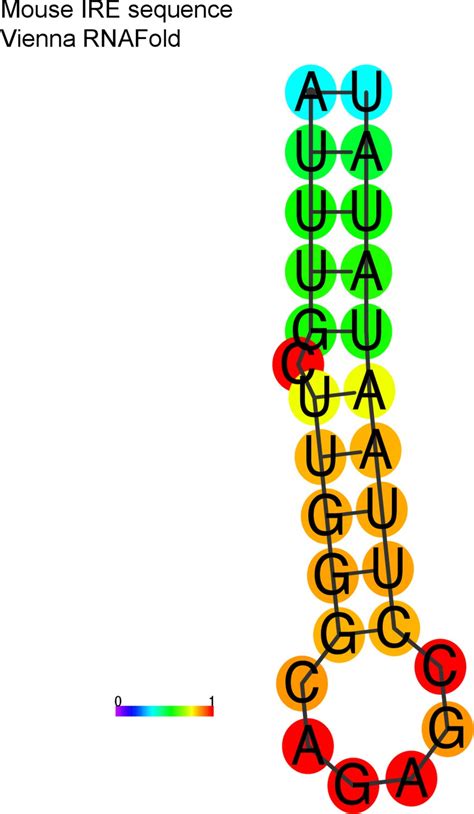 Figures And Data In Inflammation Drives Alternative First Exon Usage To