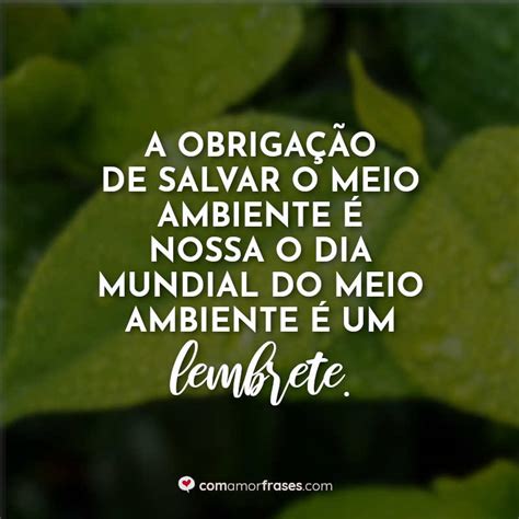 A Obrigação De Salvar O Meio Ambiente é Nossa E O Dia Mundial Do Meio