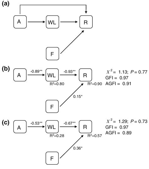 Path Diagrams Showing A Hypothesized Causal Relationships Between