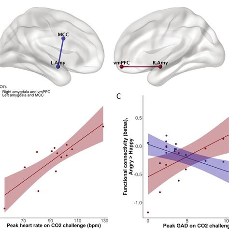 A Task Evoked Functional Connectivity Contrast Angry Happy Between