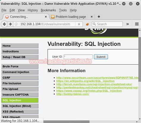 sql injection exploitation with sqlmap and burp suite burp co2 plugin