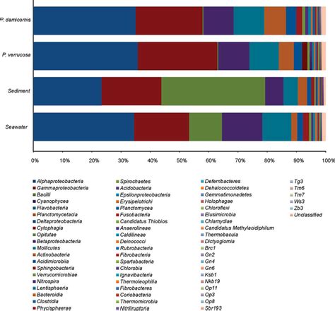 Average Of Bacterial Classes Relative To Abundance Associated With Each