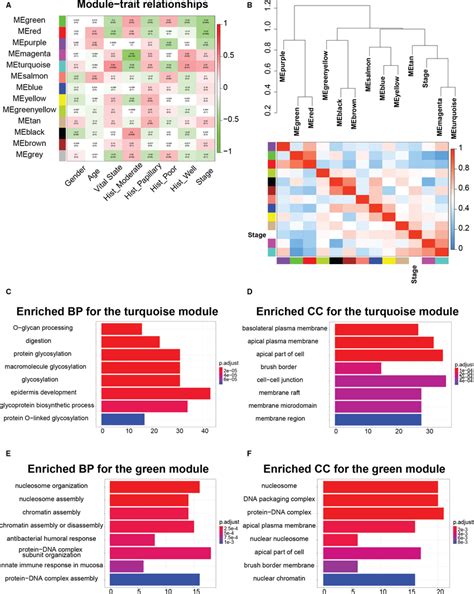 Identification Of Modules Associated With Progression Of Intrahepatic