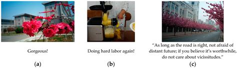 algorithms free full text visual and textual sentiment analysis of