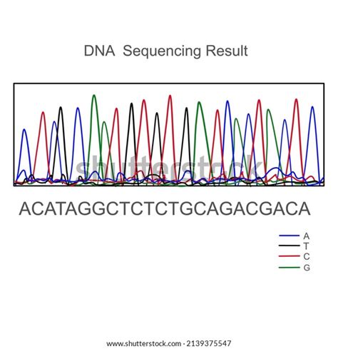 Analytical Picture Dna Sequencing Detection Genome Stock Vector