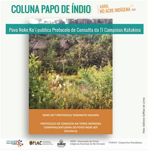 Papo De Índio Povo Noke Koí Publica Protocolo De Consulta Da Ti