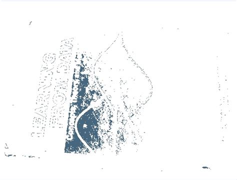 c removal of noisy pixels using opencv stack overflow