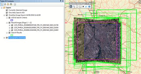 oneatlas data view service
