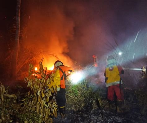 Kebakaran Hutan Di Jambi Kian Meluas Jumlah “hotspot” Melonjak