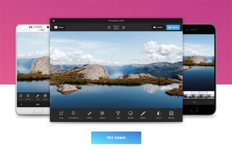 a vuejs directive can be used with forms in order to