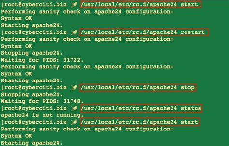 how to install apache mysql php stack on freebsd unix server nixcraft