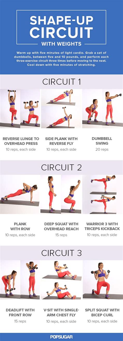 Weight Machine Circuit At Barbara Winfield Blog