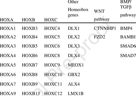 Developmental Hoxb13 Bound Super Enhancer Associated Genes As