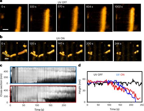 Hs Afm Imaging Of Chmp2a Chmp3 Membrane Tube Cleavage By Vps4 Atp A