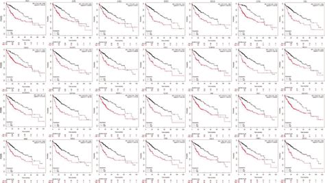 The Kaplan Meier Survival Curves Of The 28 Degs Association Of The 34