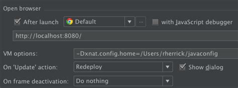 environment variables set in debug configuration not passed to
