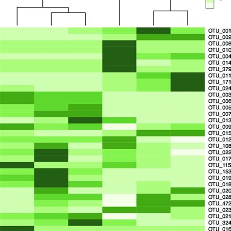 Heatmap Showing The Relative Abundances Of The Otus Across Specimens