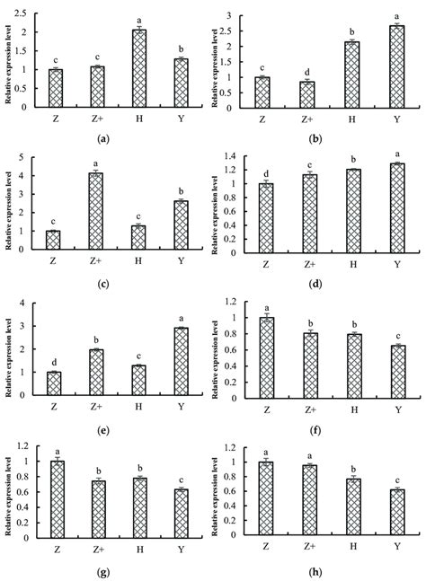 Transcriptome Sequencing Date Confirmation By Qrt Pcr The Eight Genes