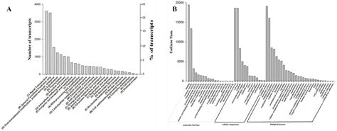 Functional Annotations Of The Unigenes Of C Idella A Kog