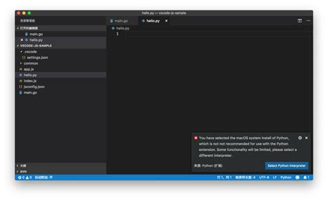 vscode 支持python 极客教程