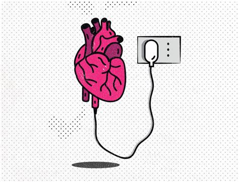 A Cardiologists Guide For Women How To Prevent Heart Disease Goop