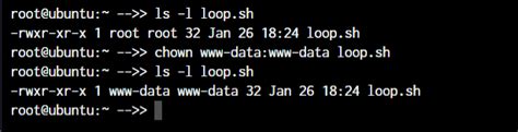 top 50 linux commands you must know digitalocean