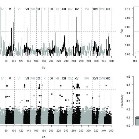 Sex Associated Snp Markers In The Arctic Alpine Willow Salix Herbacea