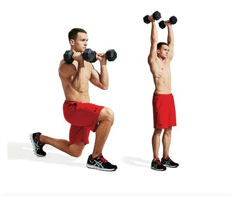 Vive Dumbbell Exercise Poster Home Gym Workout For Upper Lower Full