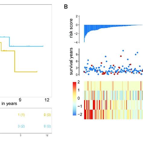 Identification Of Tlr Pathway Related Lncrnas Signature In The