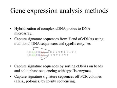 Ppt Lecture 1 Gene Expression Powerpoint Presentation Free Download
