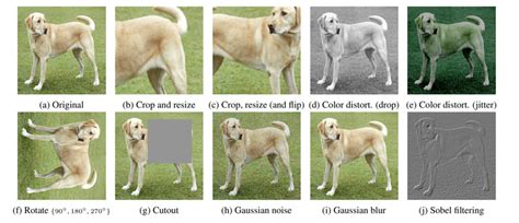 different augmentation techniques used as pretext tasks image source