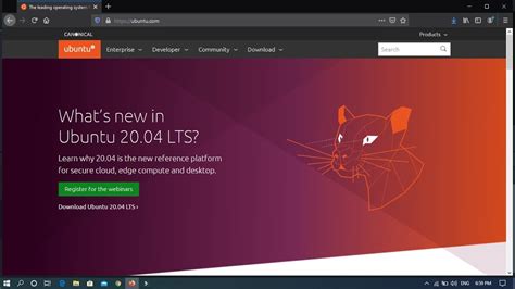 git bash download for ubuntu 20 04 how to install go on ubuntu 20 04