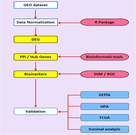 Flow Chart For Bioinformatics Analysis Of Colorectal Cancer Crc