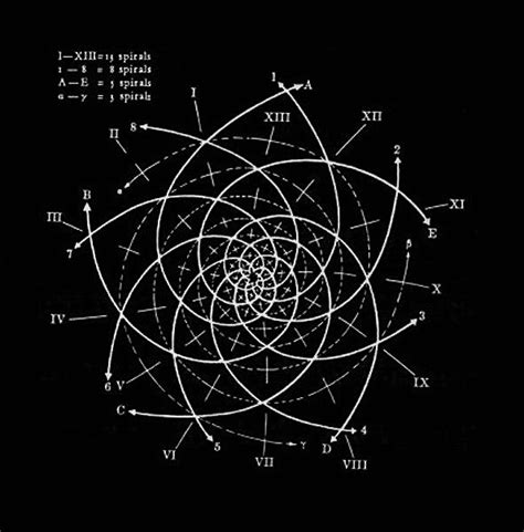 chaosophia218 — chaosophia218 fibonacci series the fibonacci