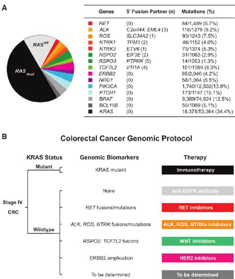 Colorectal Cancer Classification