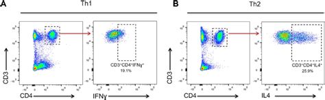 Representative Dot Plots Of Flow Cytometry Data Figure Shows A