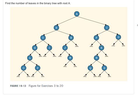 solved 14 find the number of leaves in the binary tree with