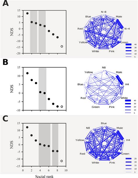 Graphical Representation Of Hierarchy Estimated As Relationship Between