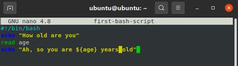 How To Write A Bash Script Nucleio Information Services