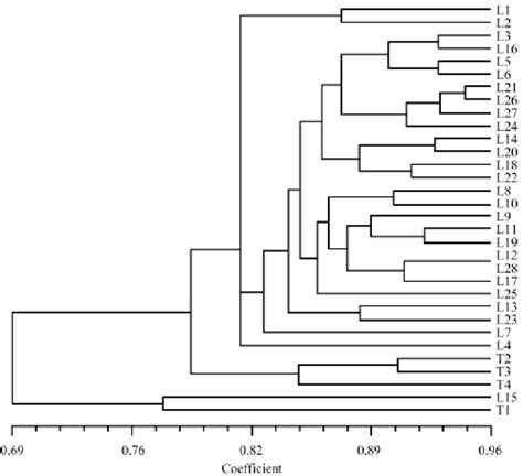 Dendrograms Derived From An Unweighted Pair Group Method Analysis