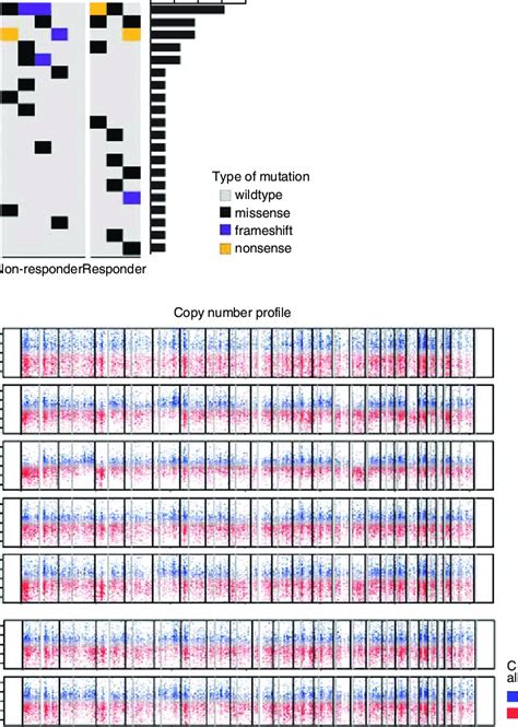Mutational And Whole Genome Wide Copy Number Variation Landscape In