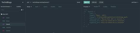 build rest api with laravel techvblogs
