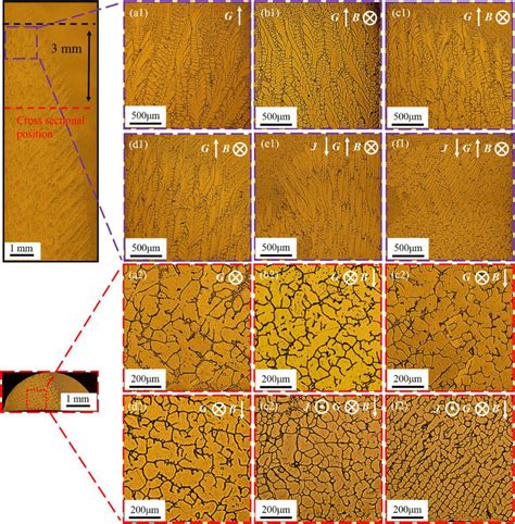 Longitudinal And Cross Section Microstructures Of Sn 10 Wt Bi Alloys