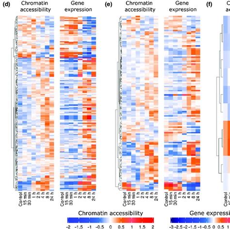 Classification Of Conserved Noncoding Sequences Cns According To