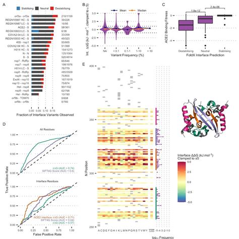 A Fraction Of Potential Interface Variants Observed In Samples