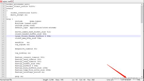 nginx [emerg] unknown directive “ worker processes“ unknown directive