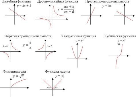 48 Different Types Of Functions And Their Graphs Complete List Artofit