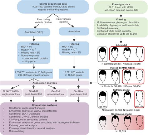 Overview Of The Analysis Workflow Exome And Phenotype Data Obtained