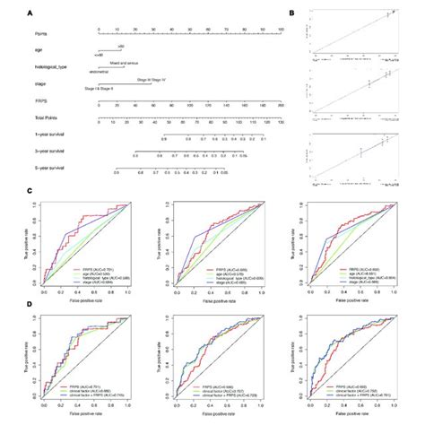 Construction And Validation Of The Nomogram A Nomogram To Predict